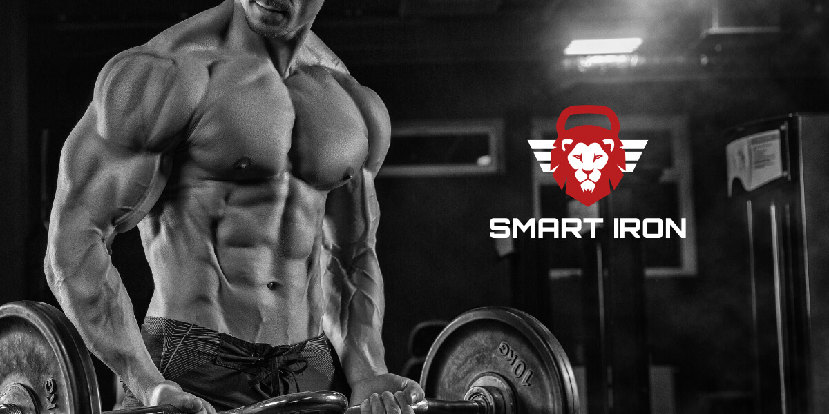 SMART IRON Detailed gym workout plans